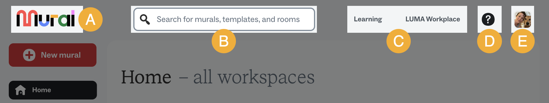Introduction to the Mural dashboard